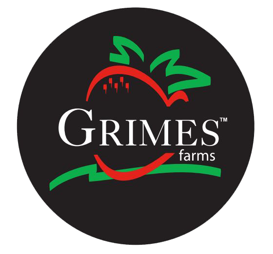 Strawberry Farm Plant City — Grimes Produce