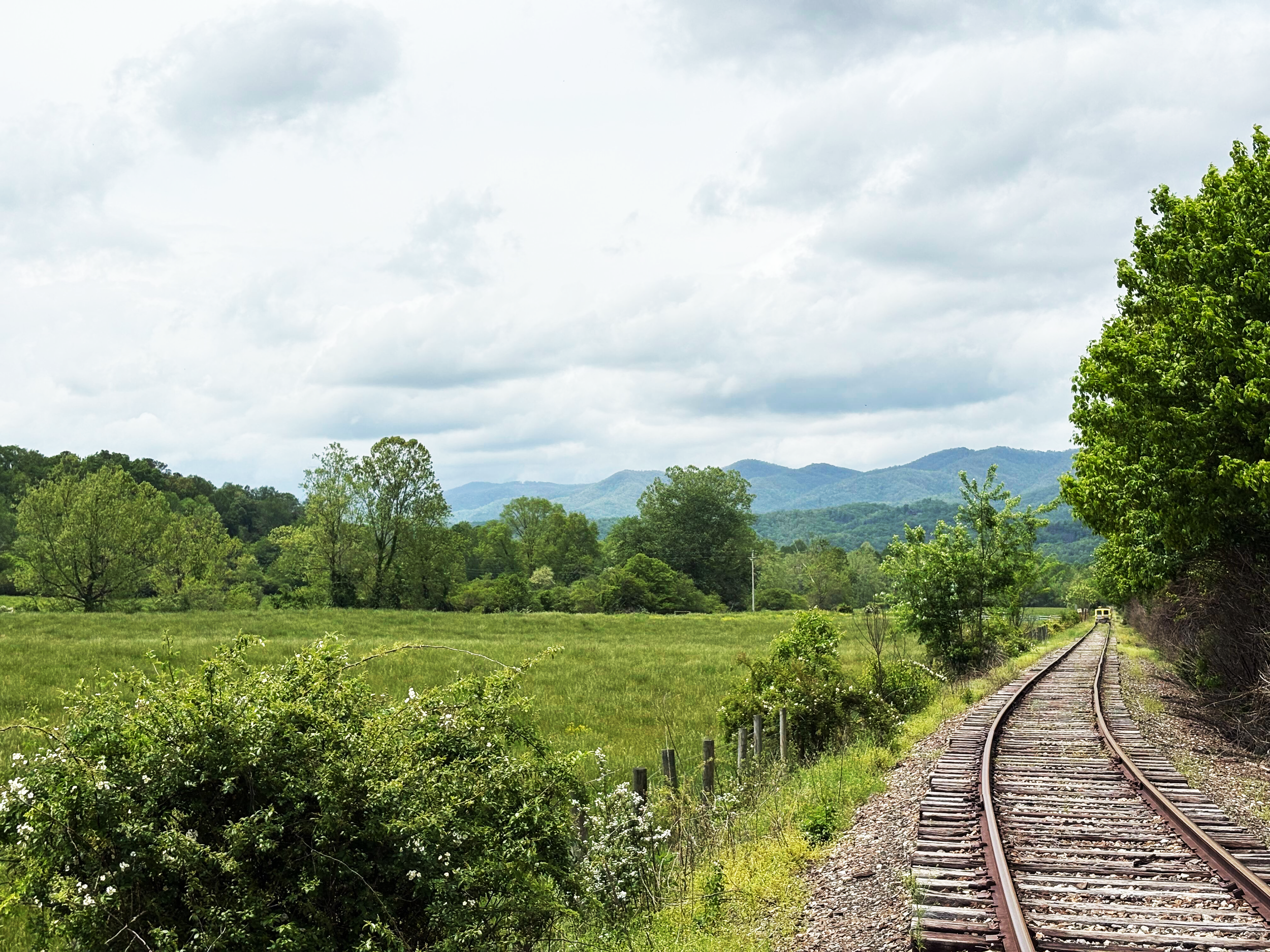 Andrews Valley Rail Tours