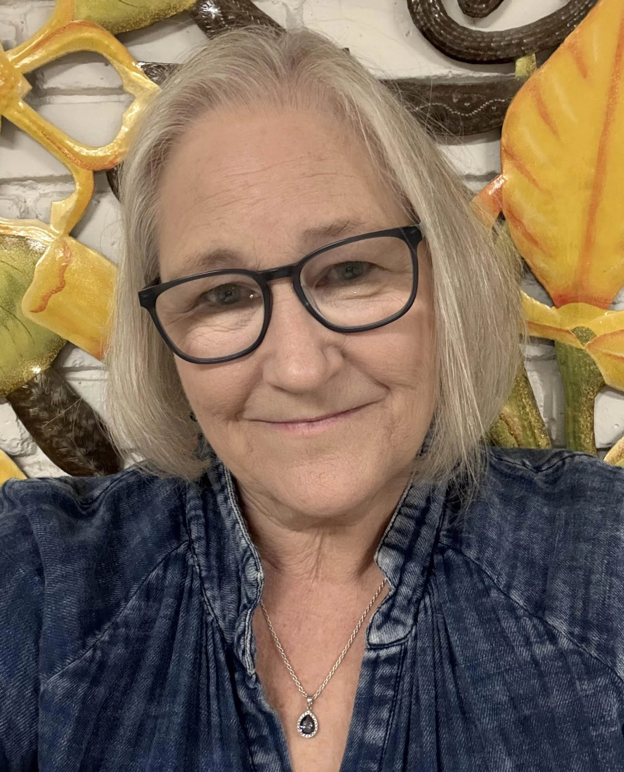 Beth McLaughlin for Texas House District 97