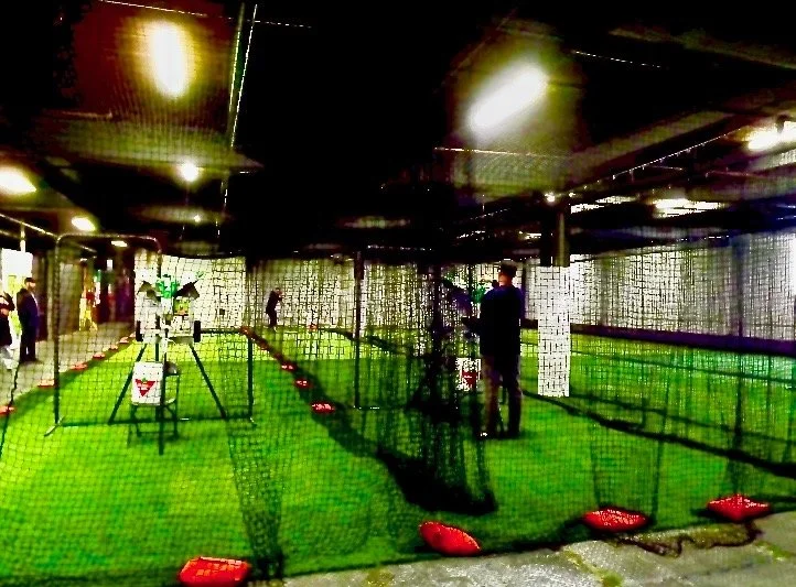 The Cage Indoor Baseball Facility London Ontario www.welcometothecage.ca