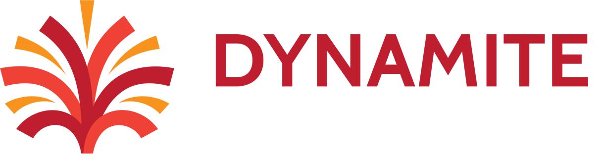 Dynamite Fireworks - Professional Firework Displays for Every Occasion