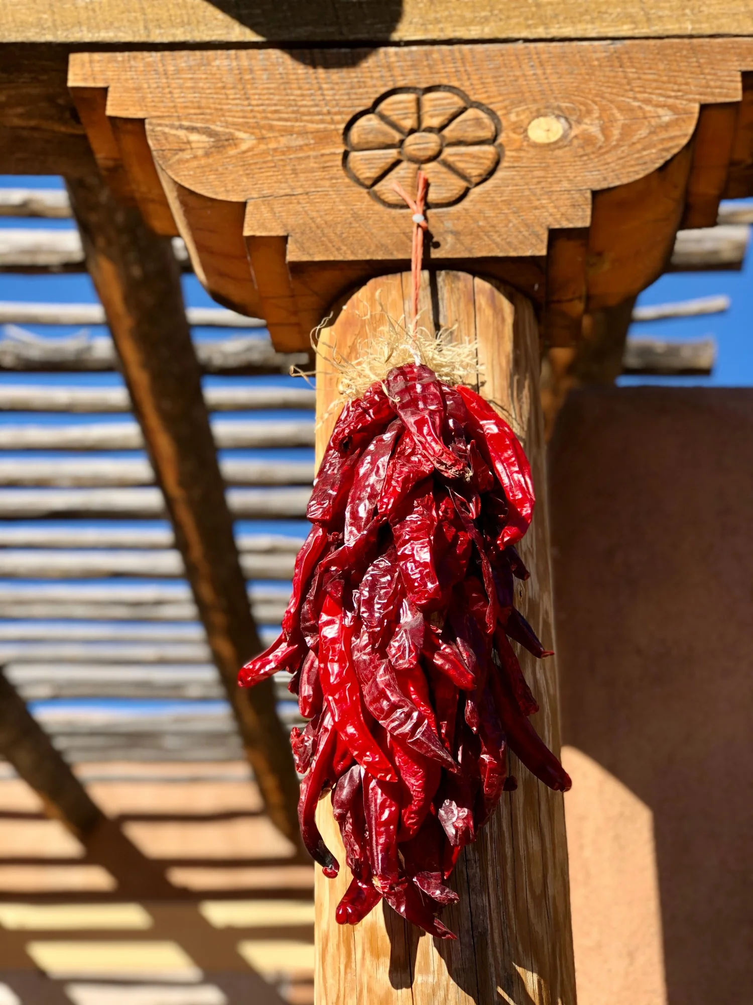 NEW MEXICO SINGLETRACK • Santa Fe, NM • 3-Day Mountain Bike Stage Race ...