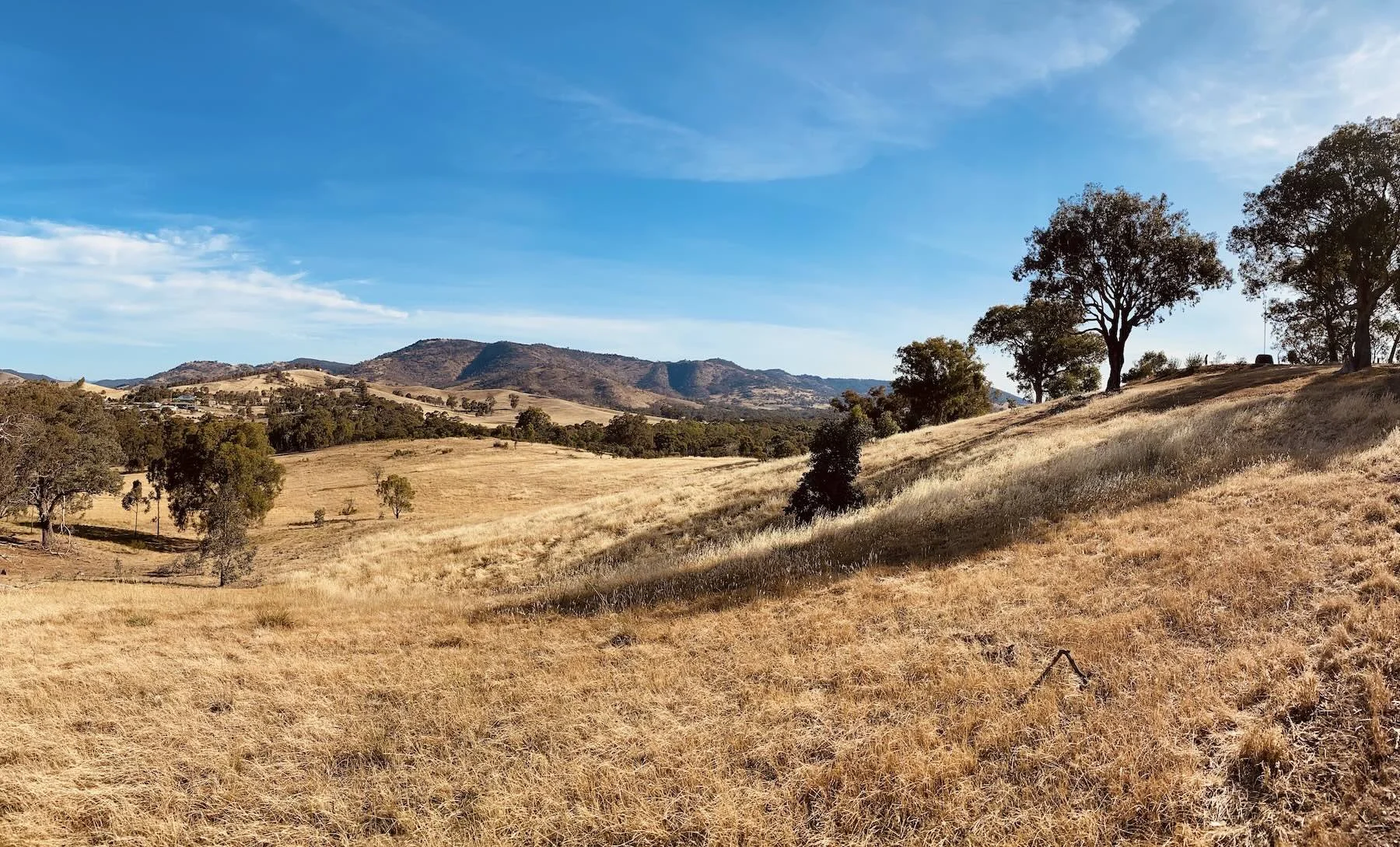 Services — Dynamic Improvements