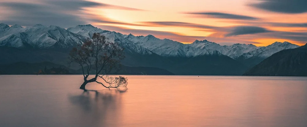 EXPLAINER: Changes announced to the Climate Change Response Act 2002