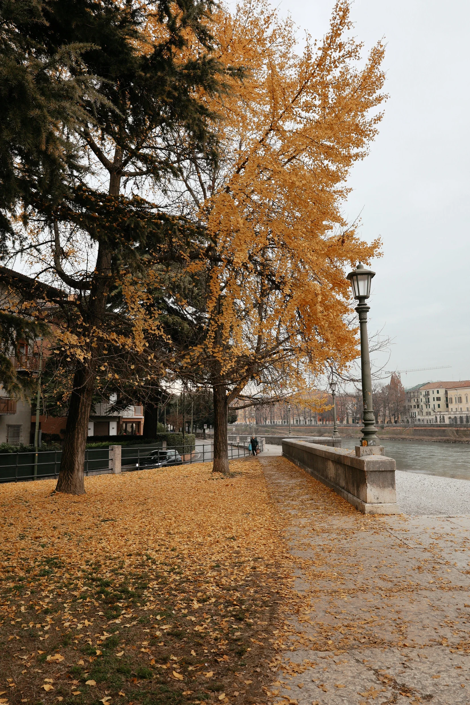 The Ultimate Travel Guide to Verona, Italy — Travel & Brew