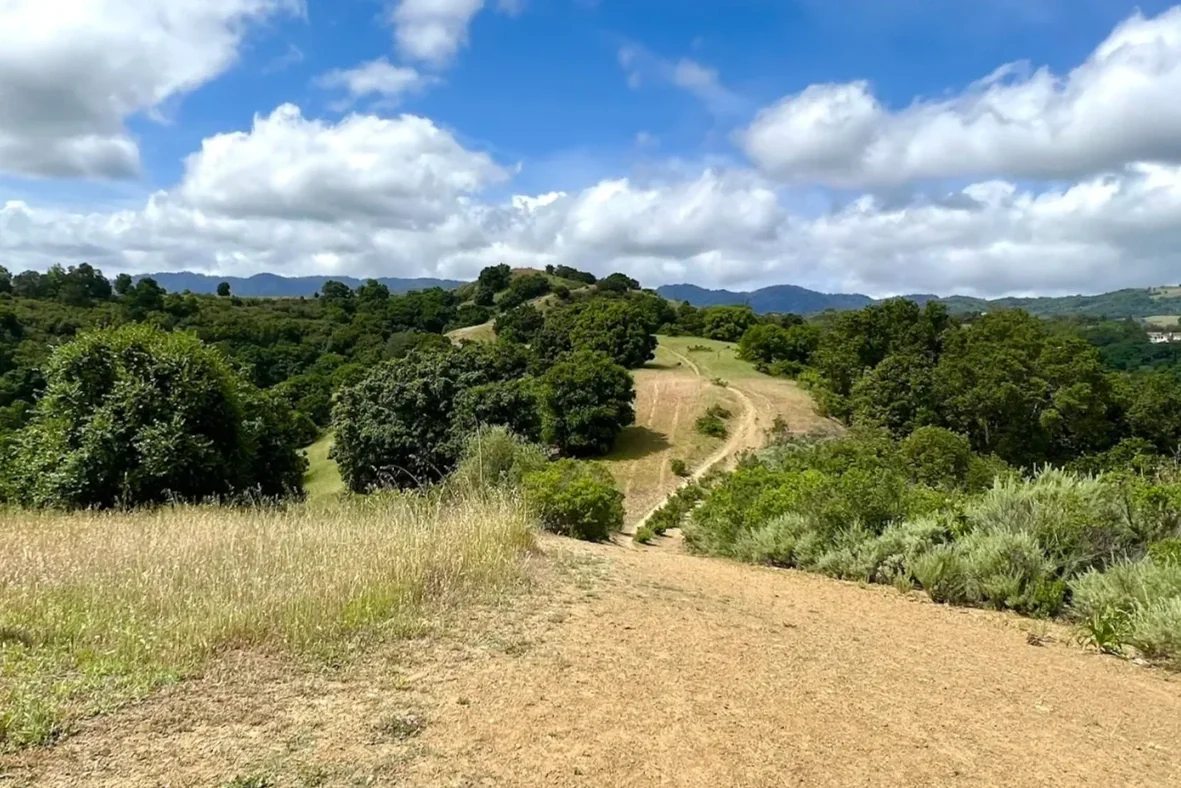 O'Keefe — Save Open Spaces