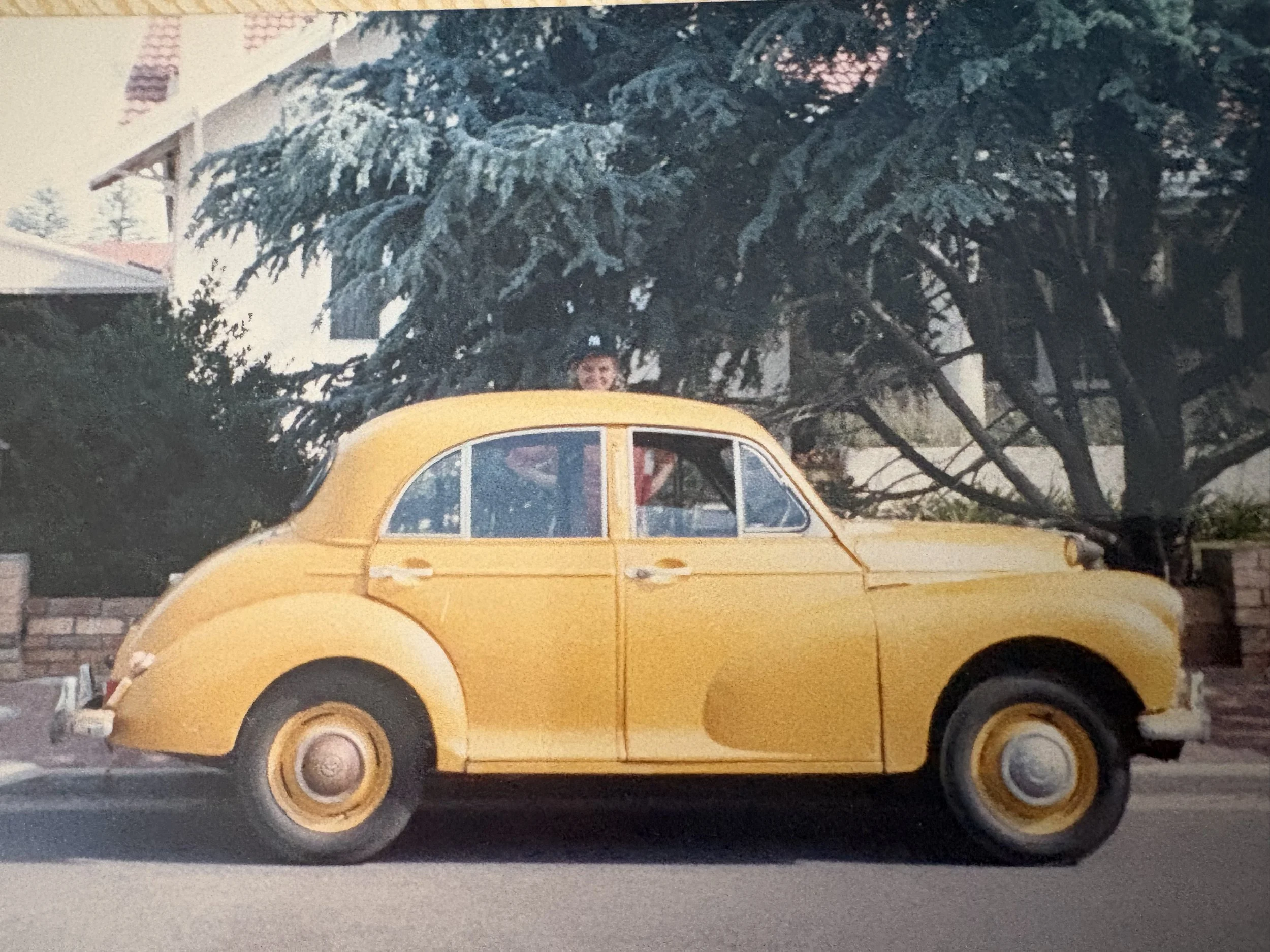 Afraid of colour — The Willows Journal