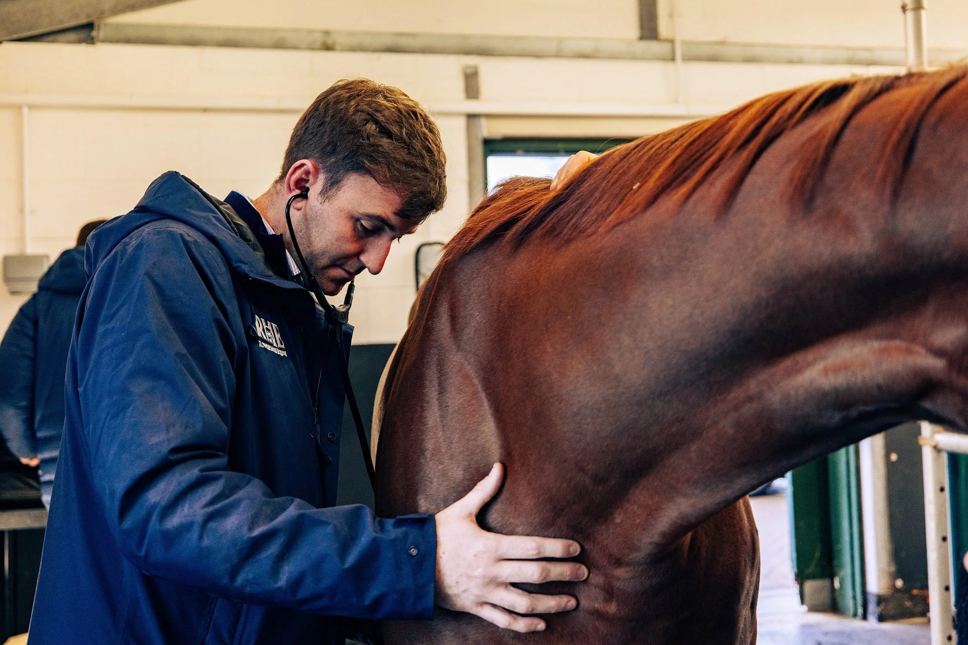 About RME — Rowley Mile Equine