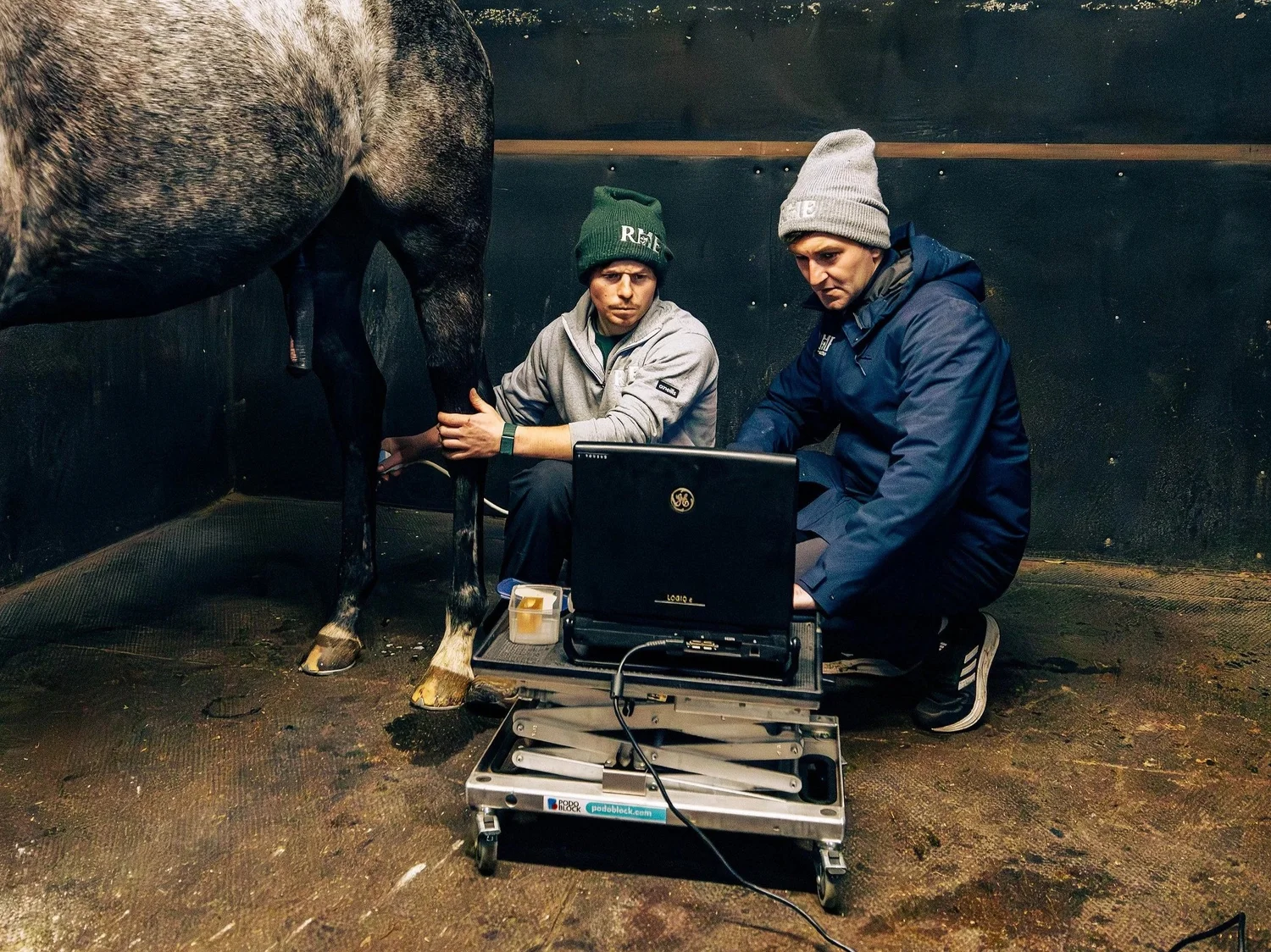 About RME — Rowley Mile Equine