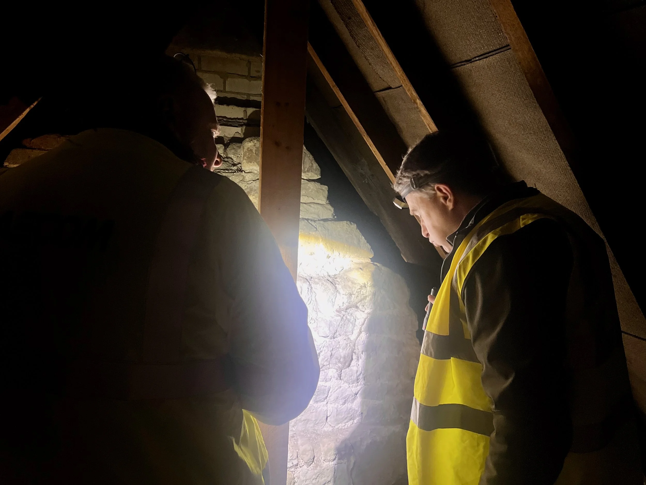 Bat surveys explained: what to expect and when they’re needed — Wessex ...