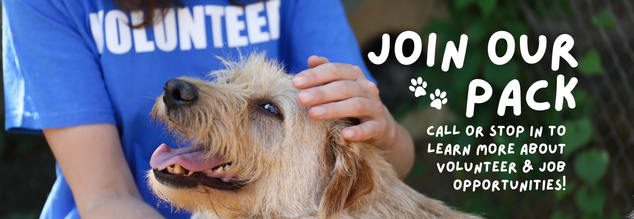 Finney County Humane Society | Discover, Adopt, Support Pets Today