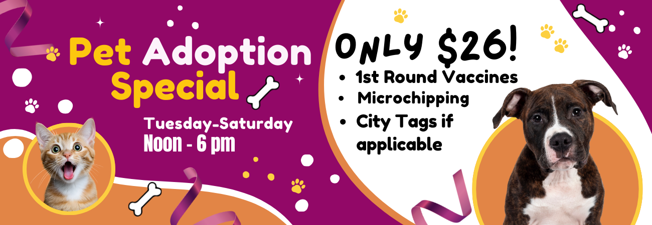 Finney County Humane Society | Discover, Adopt, Support Pets Today