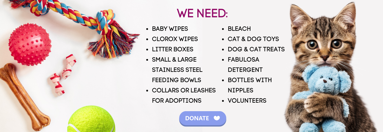 Finney County Humane Society | Discover, Adopt, Support Pets Today