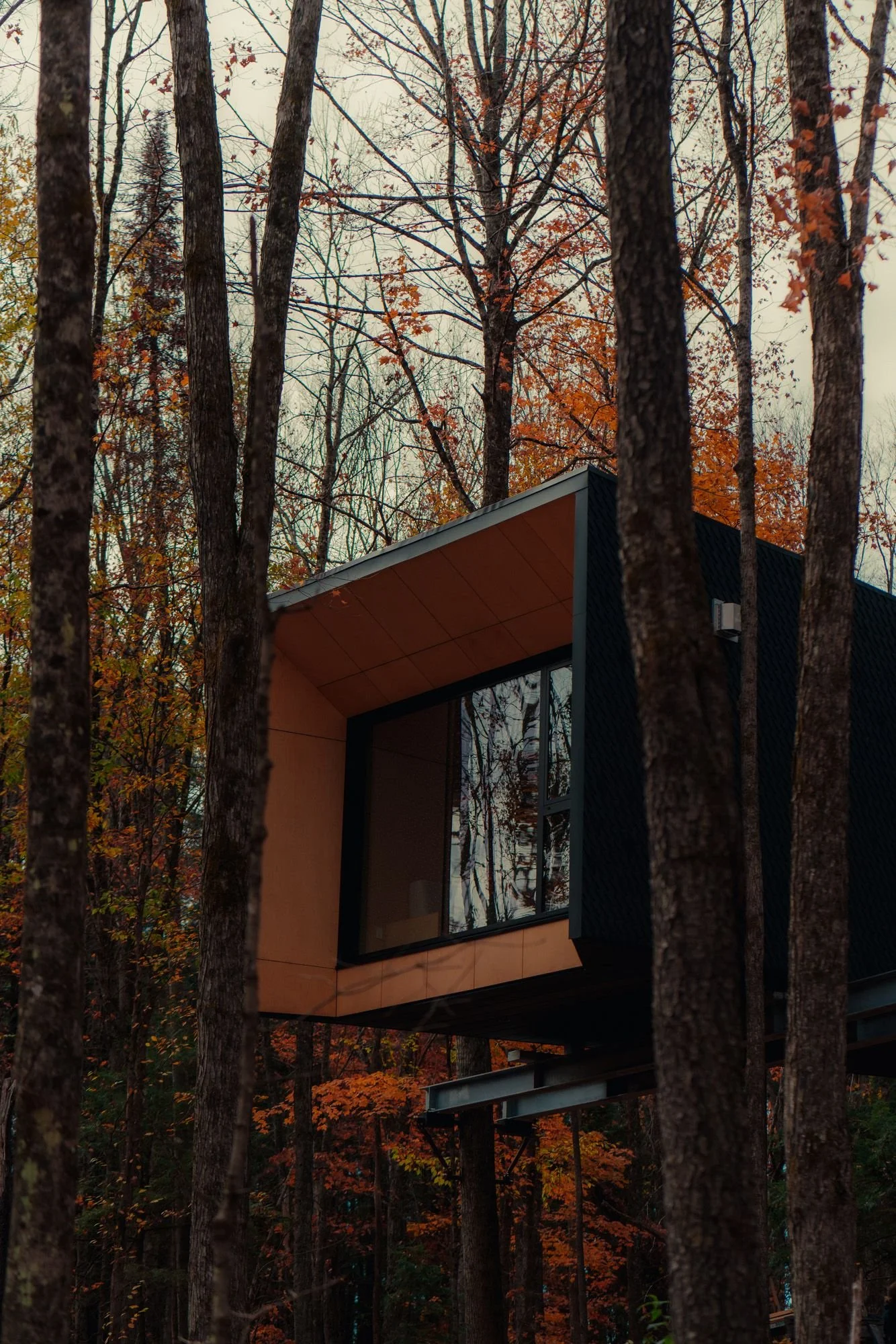 Fort Treehouse Co.