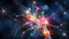 The Dopamine & Oxytocin Paradox: Why Focusing on One Neurochemical ...