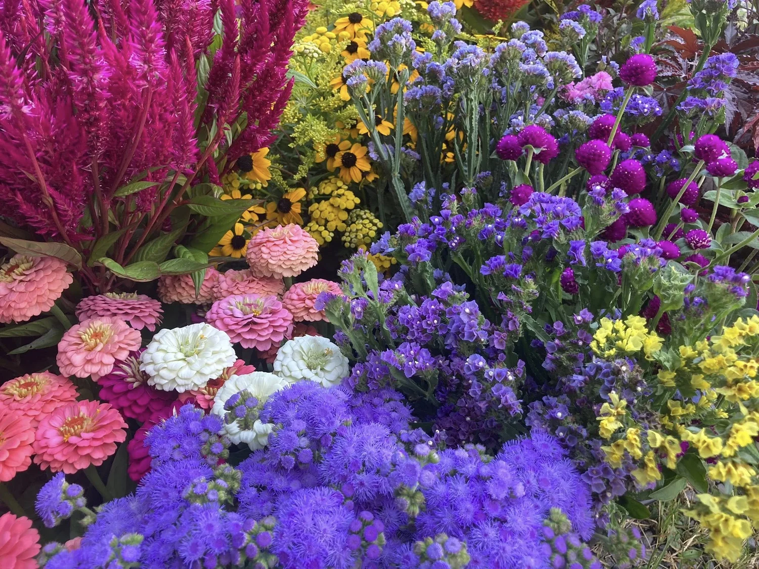 Home | Country Joy Flowers
