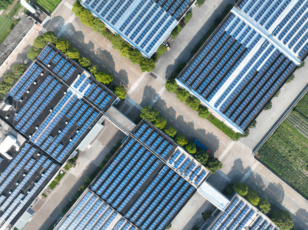 Vanguard Search Partners | Renewable Energy Executive Search