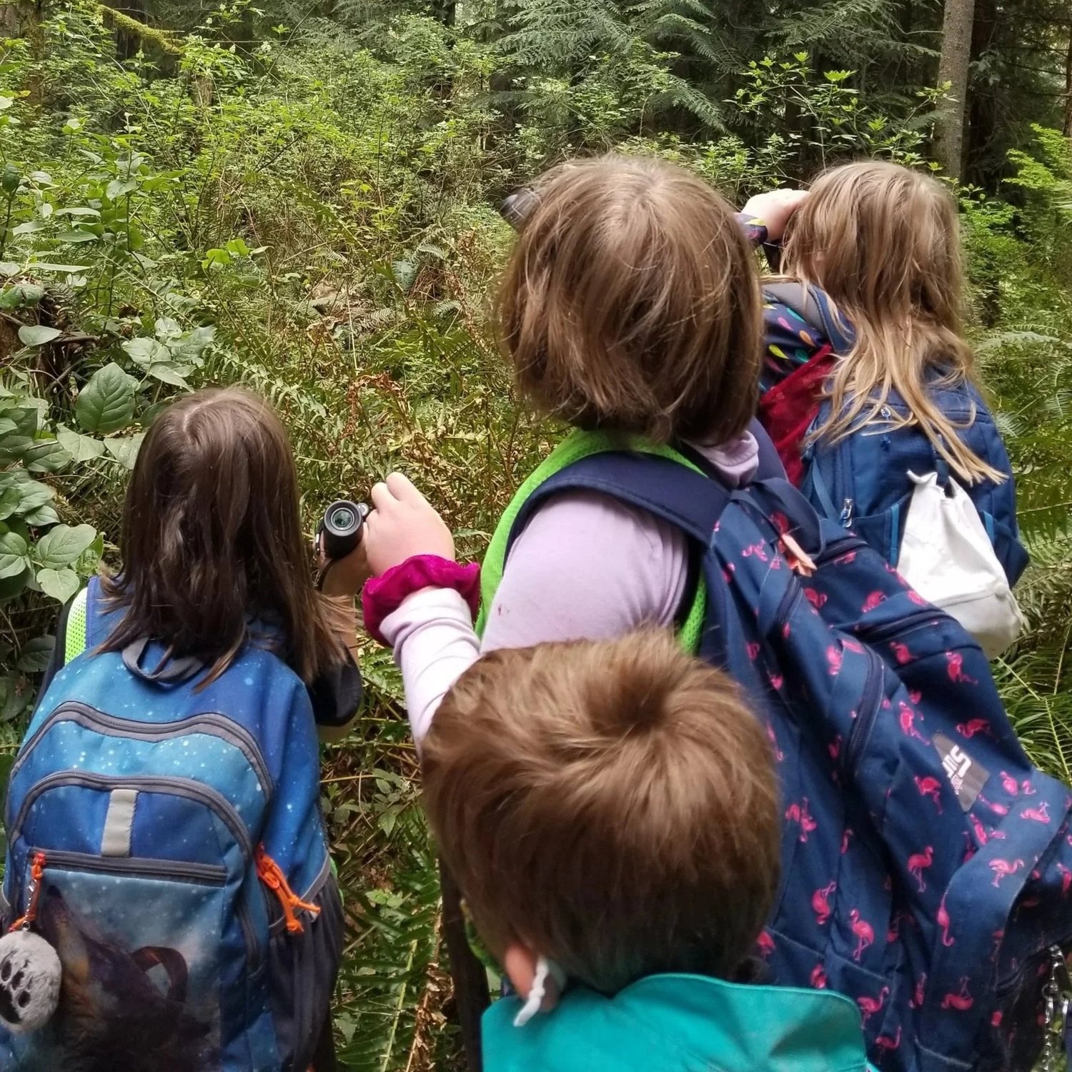 Outdoor Explorers | Discover, Learn, Explore Now — Sisu Outdoor School