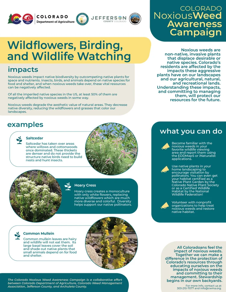 Weed Information | Learn Invasive Species Management Today — Colorado ...