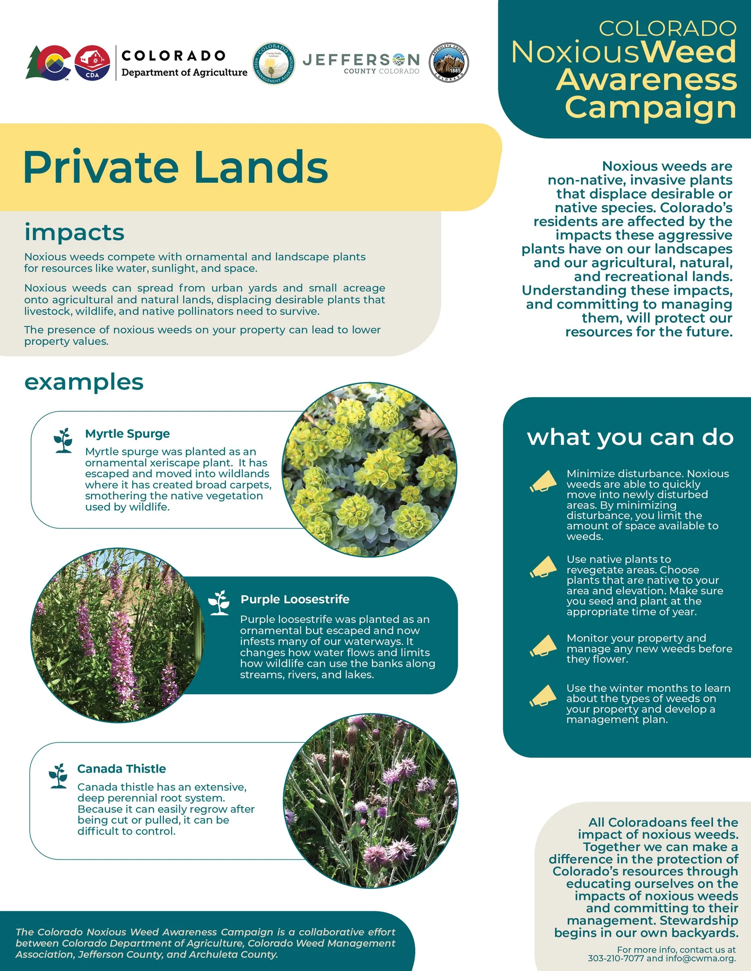 Weed Information | Learn Invasive Species Management Today — Colorado ...