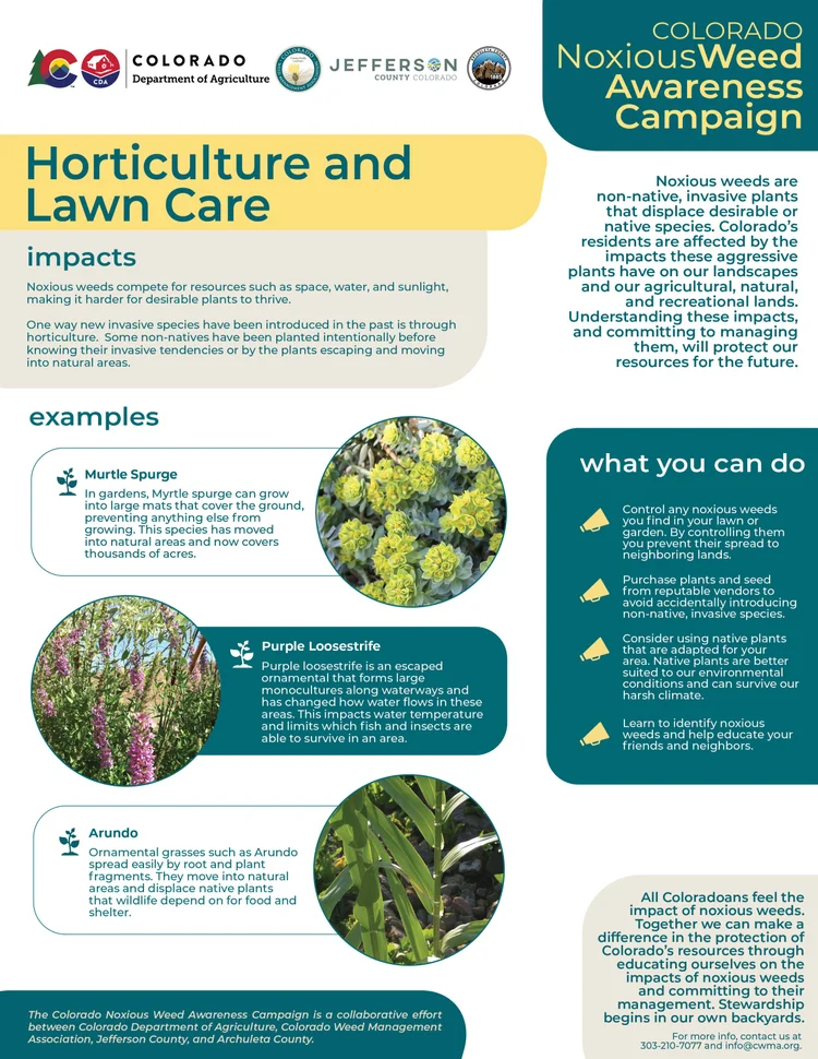 Weed Information | Learn Invasive Species Management Today — Colorado ...