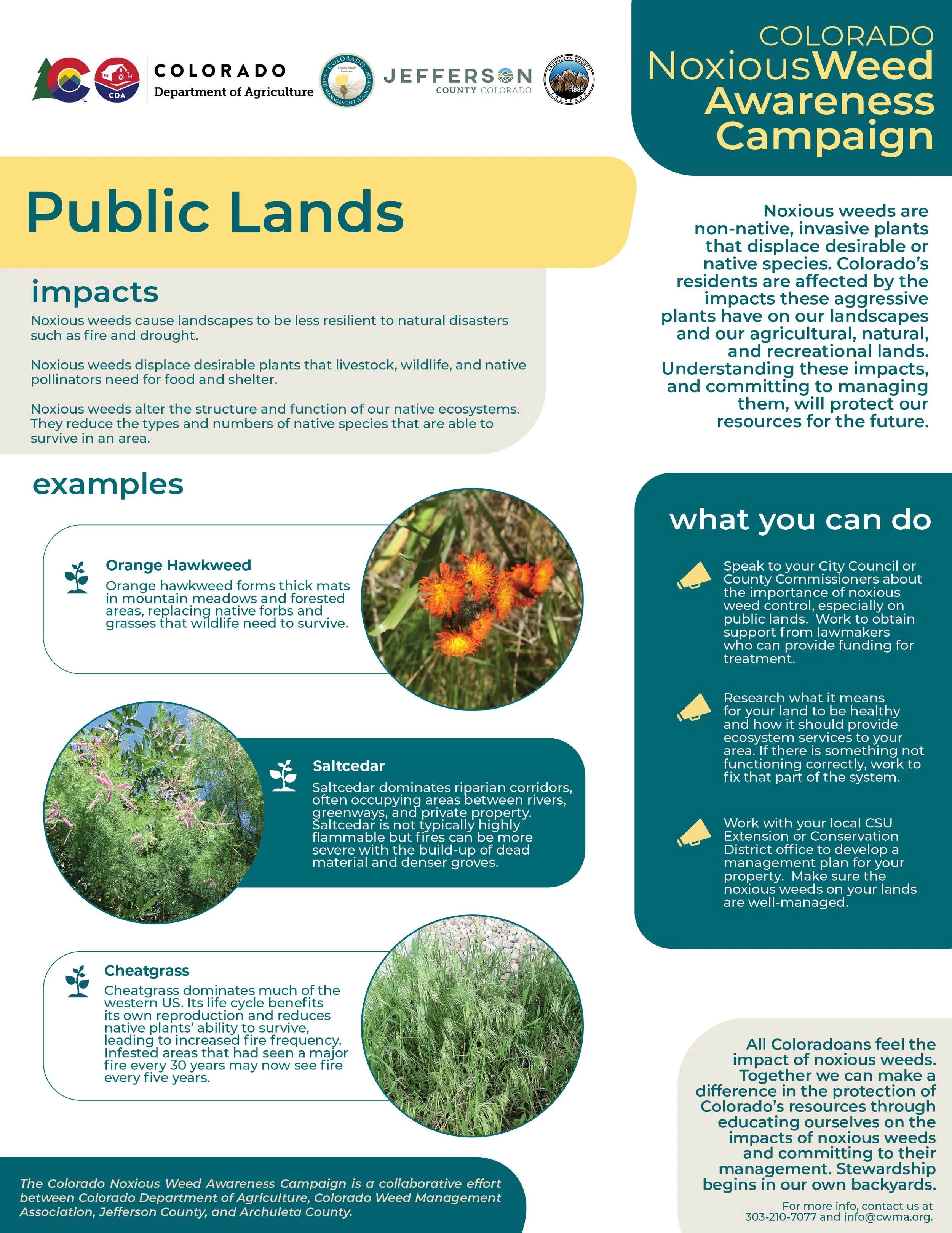 Weed Information | Learn Invasive Species Management Today — Colorado ...