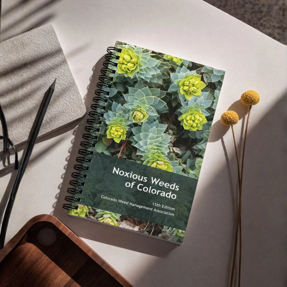 Weed Information | Learn Invasive Species Management Today — Colorado ...