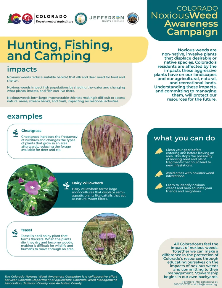Weed Information | Learn Invasive Species Management Today — Colorado ...