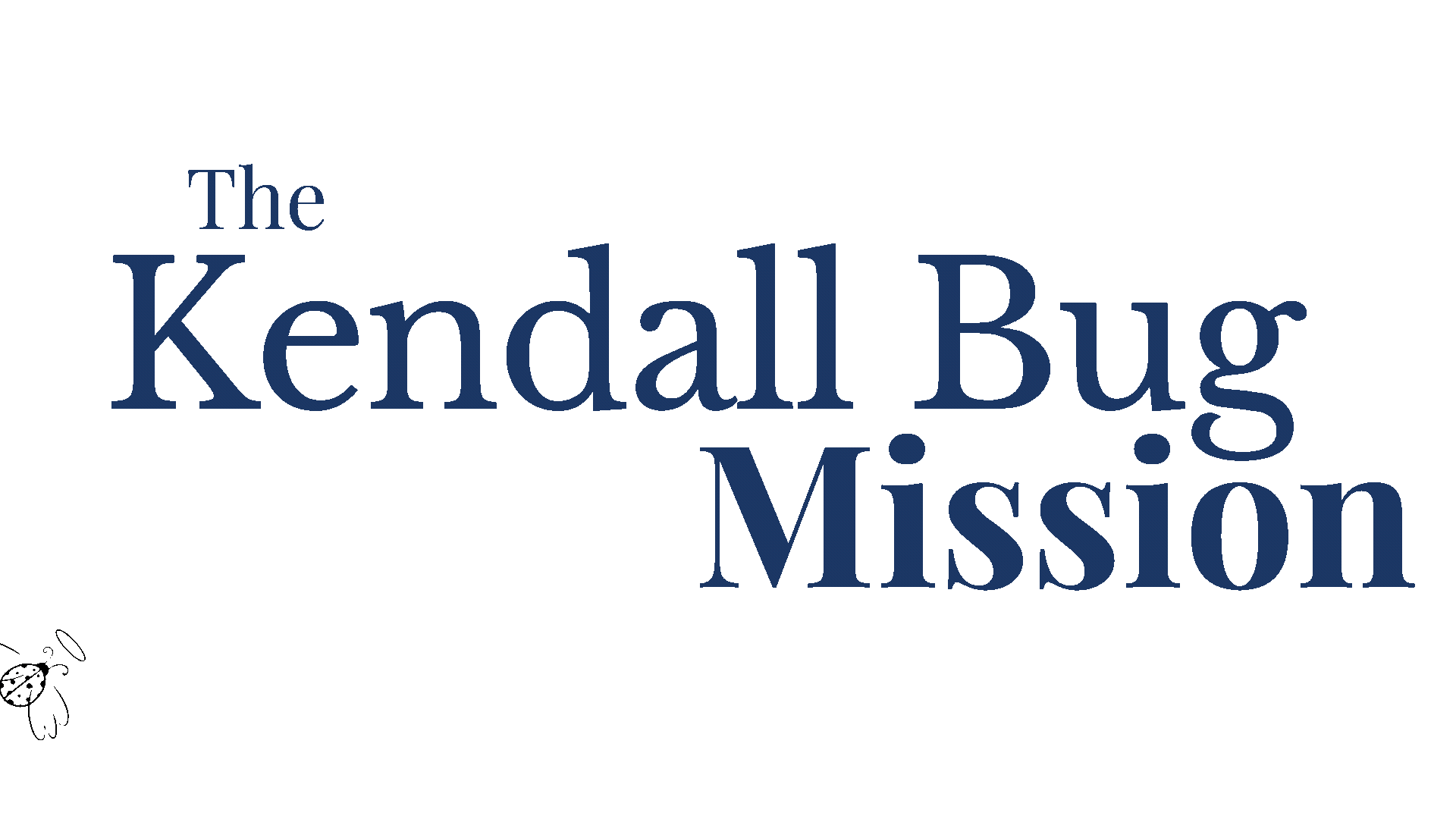 San Diego Survival Swim & Water Safety | Kendall Bug Mission