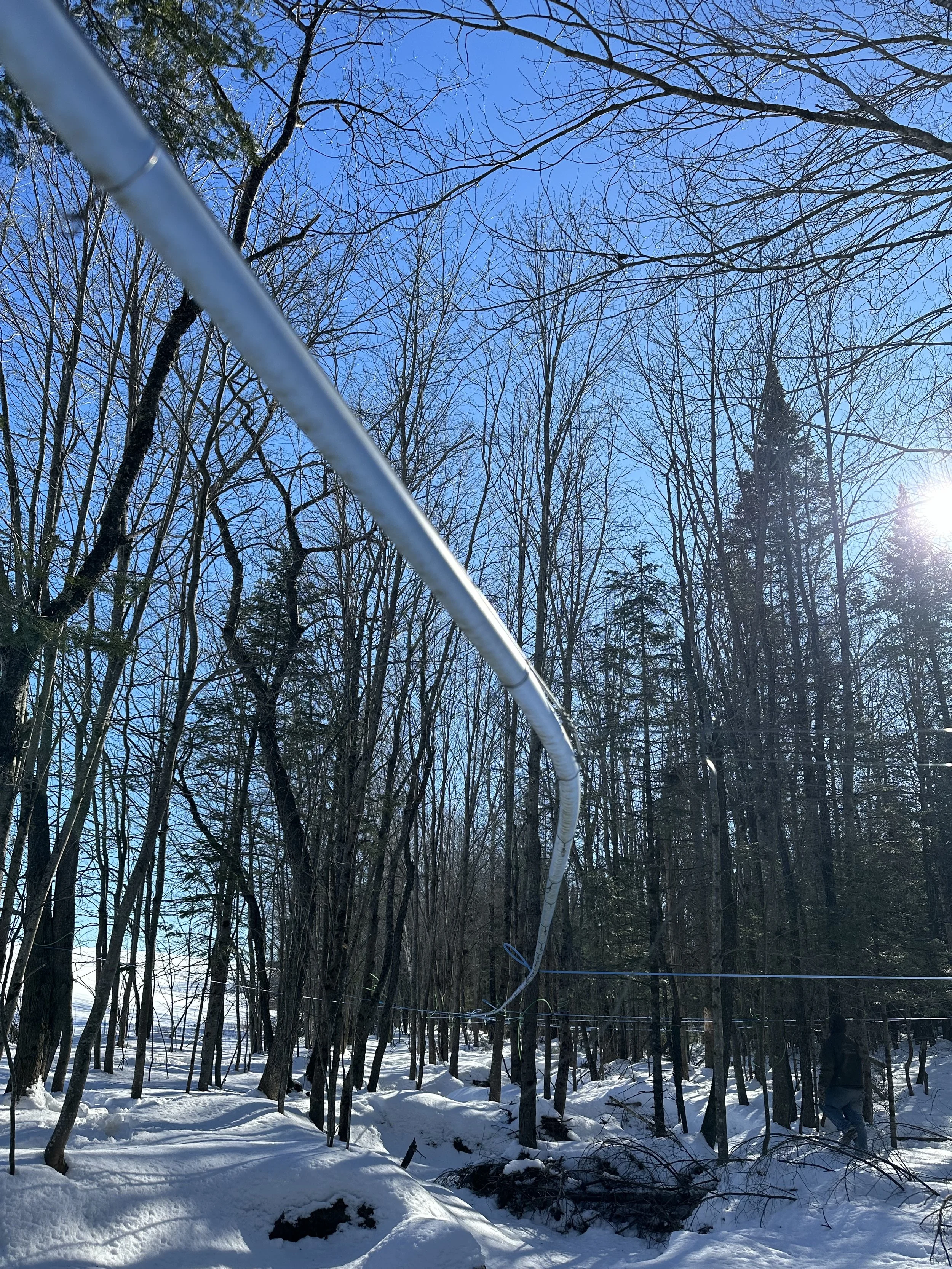 Maple Practices | 100 Acre Sugar Bush — Quimby Family Farms
