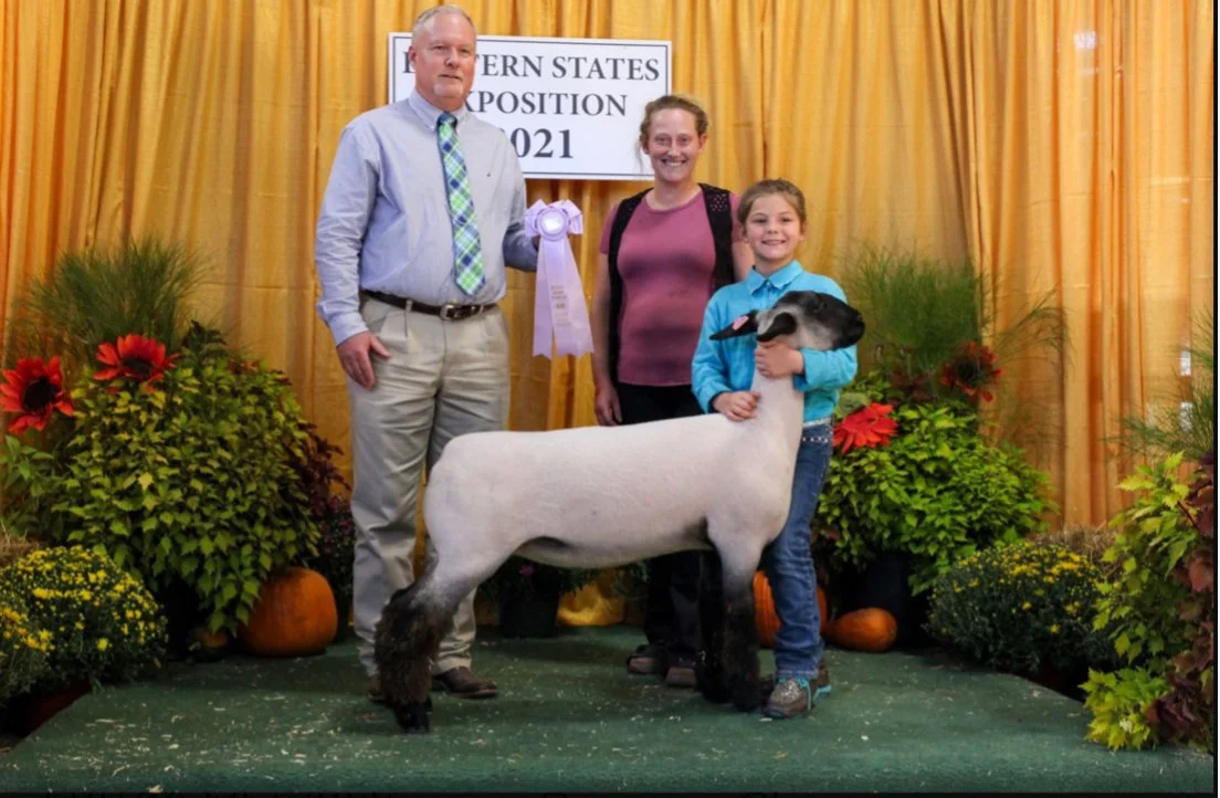 Show Sheep | High-Quality Competitive Sheep — Quimby Family Farms