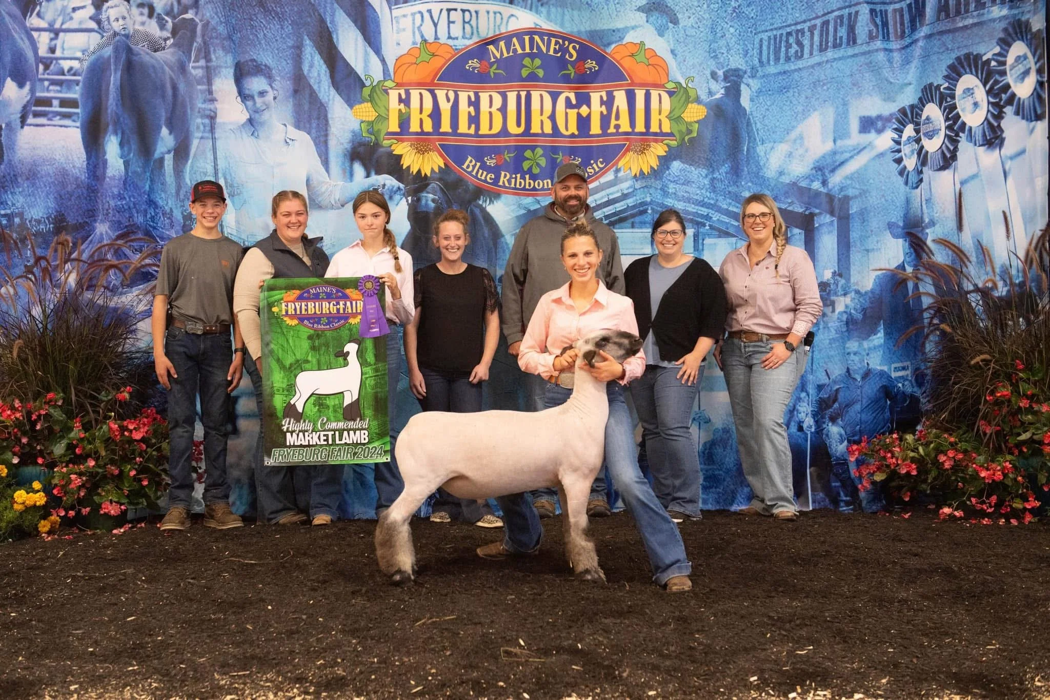 Show Sheep | High-Quality Competitive Sheep — Quimby Family Farms