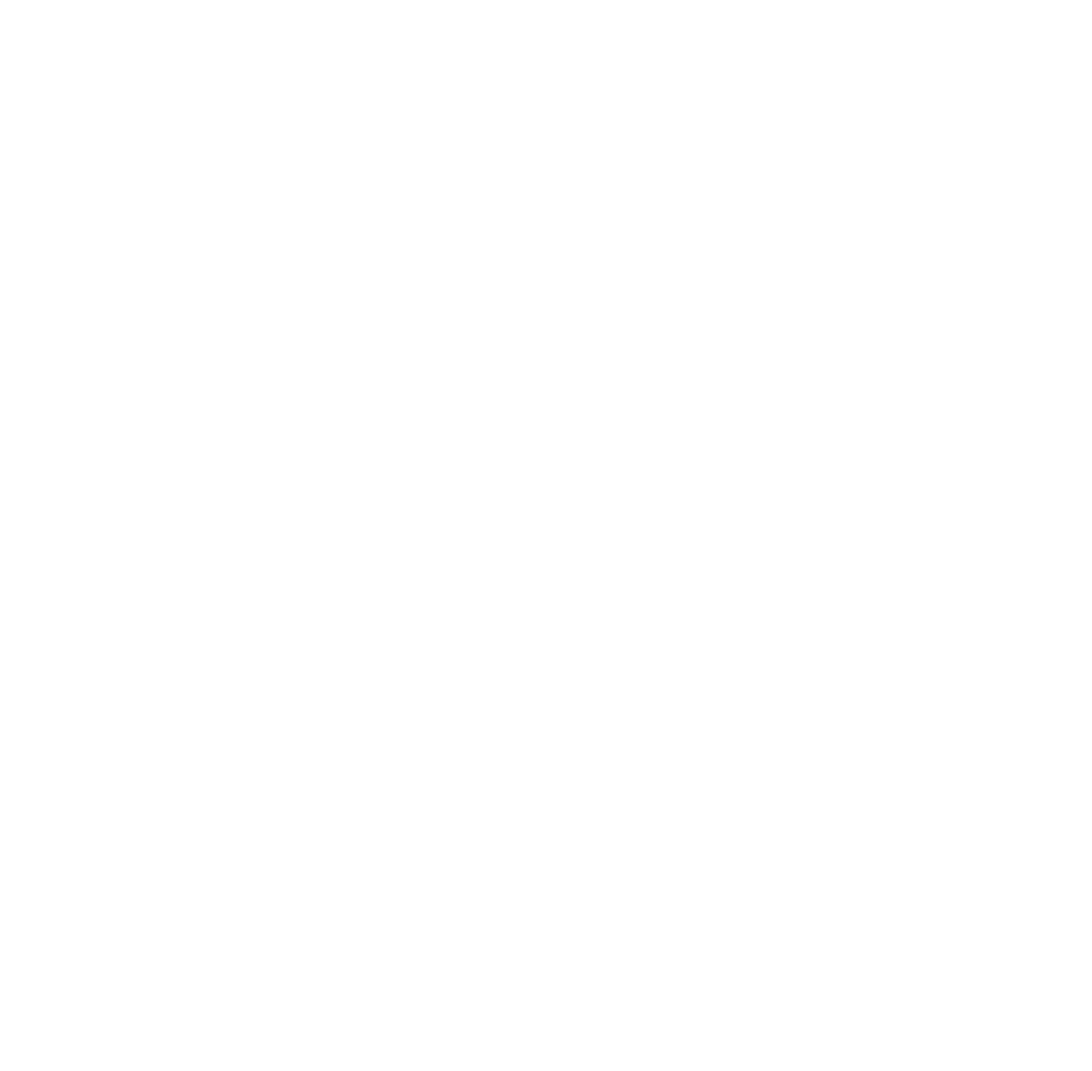About PSSF — The Palestine Students Scholarship Fund