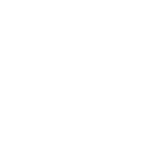 About PSSF — The Palestine Students Scholarship Fund