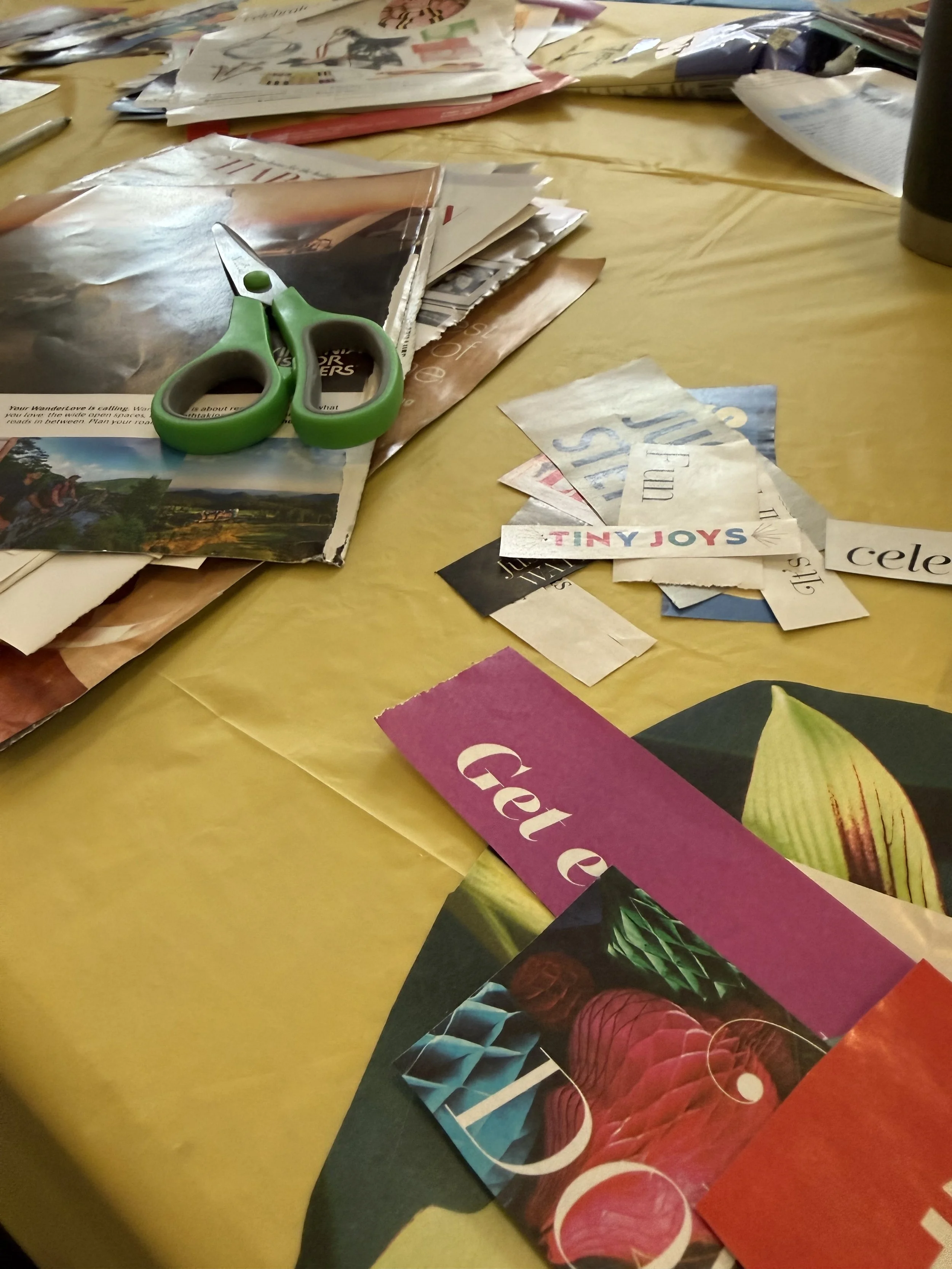 The Path Forward — Cindy Shufflebarger