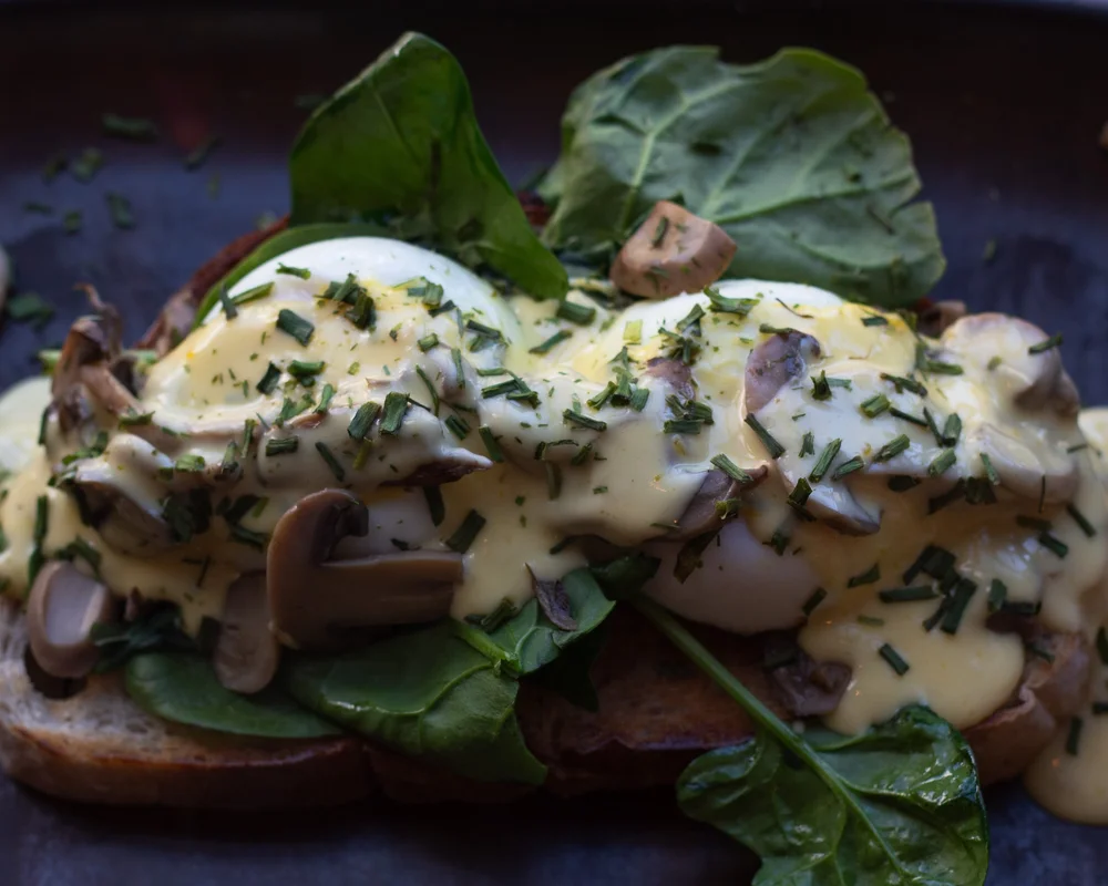 elm row | eat. drink. relax.