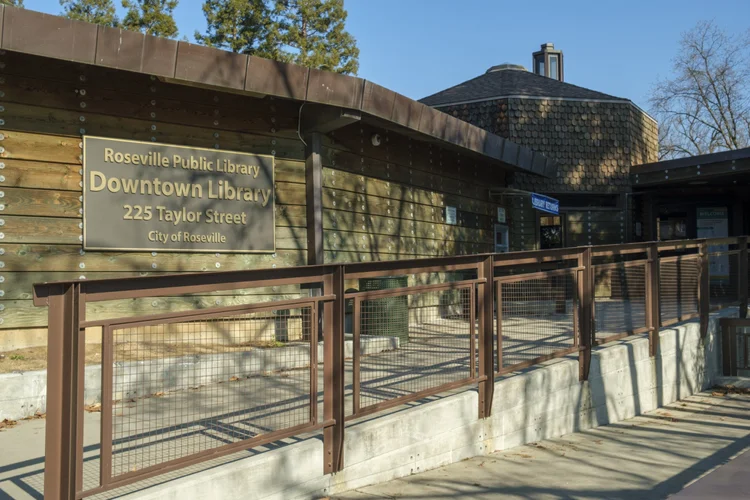 Friends of the Roseville Public Library