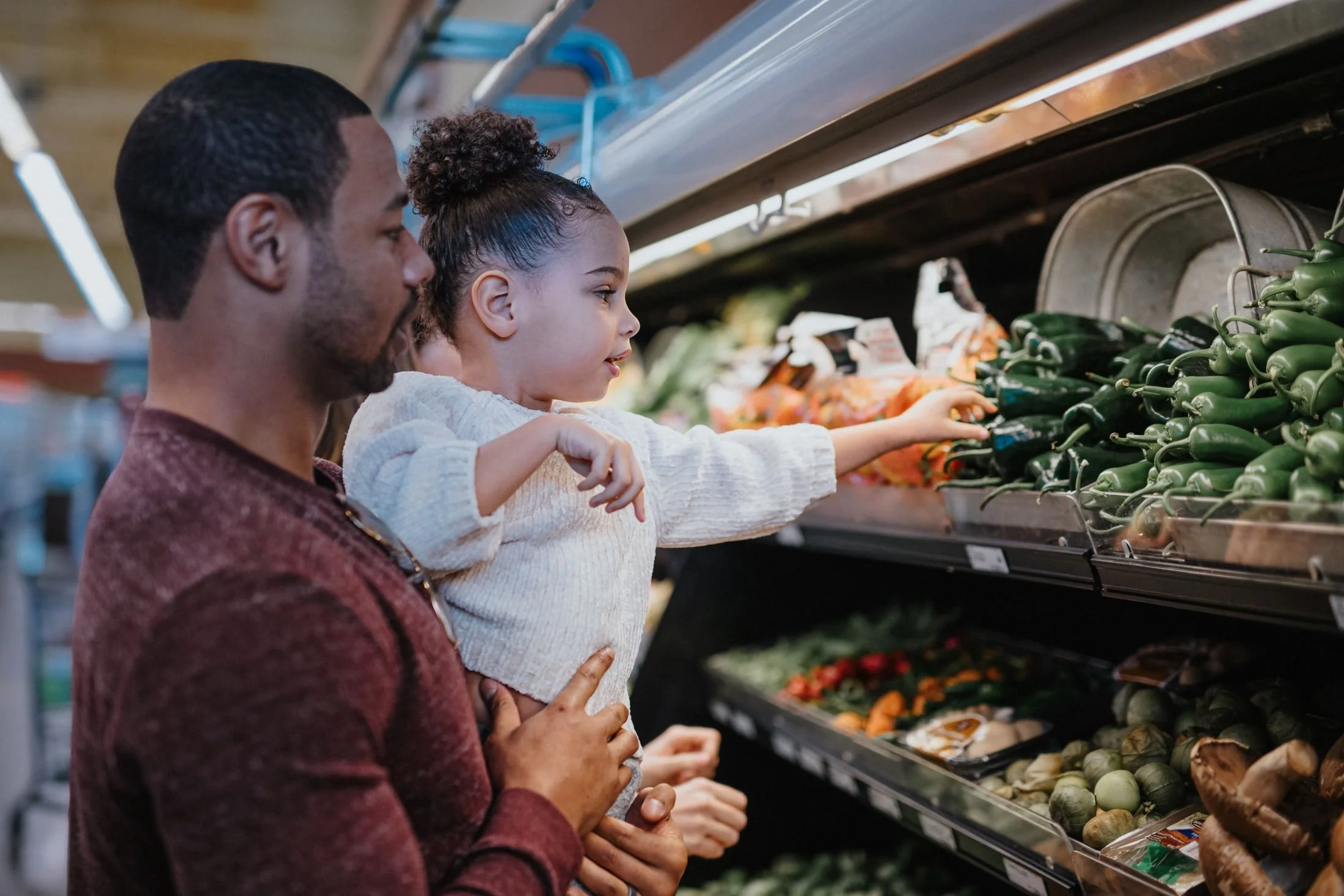 SNAP Facts vs. Fiction — Save Our SNAP
