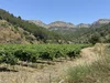 Glass Nomad Wine