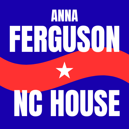 Committee to Elect Anna Ferguson