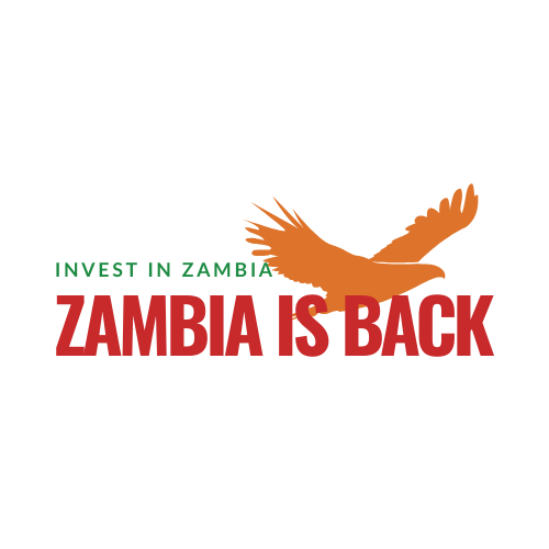 KoBold starts work on $2.3B Zambia copper mine — Zambia Is Back