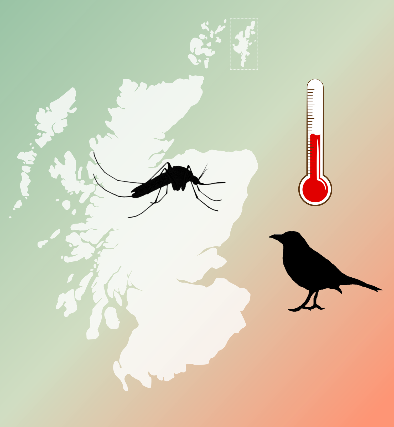 Mosquito Scotland