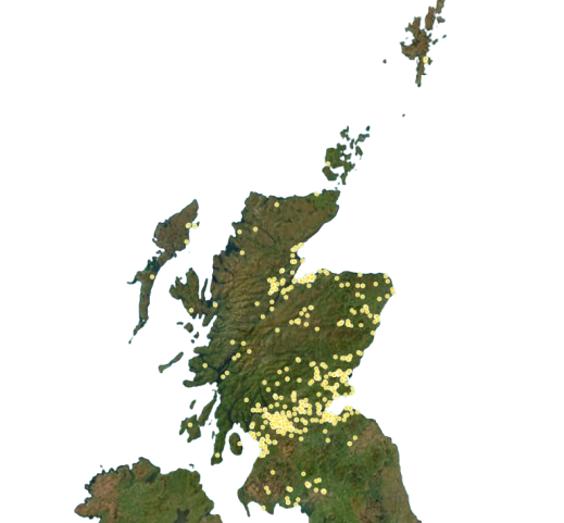 Mosquito Scotland