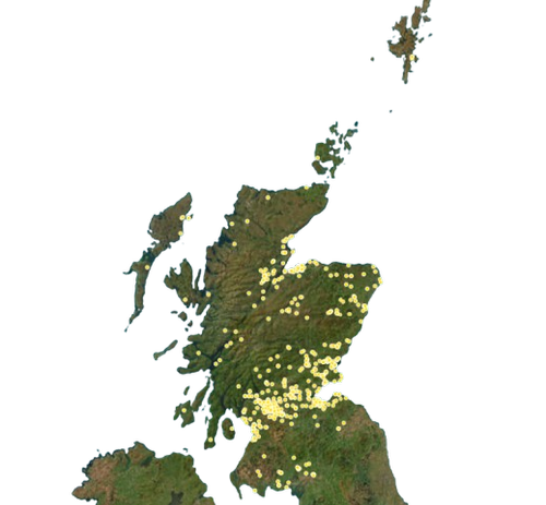 Mosquito Scotland