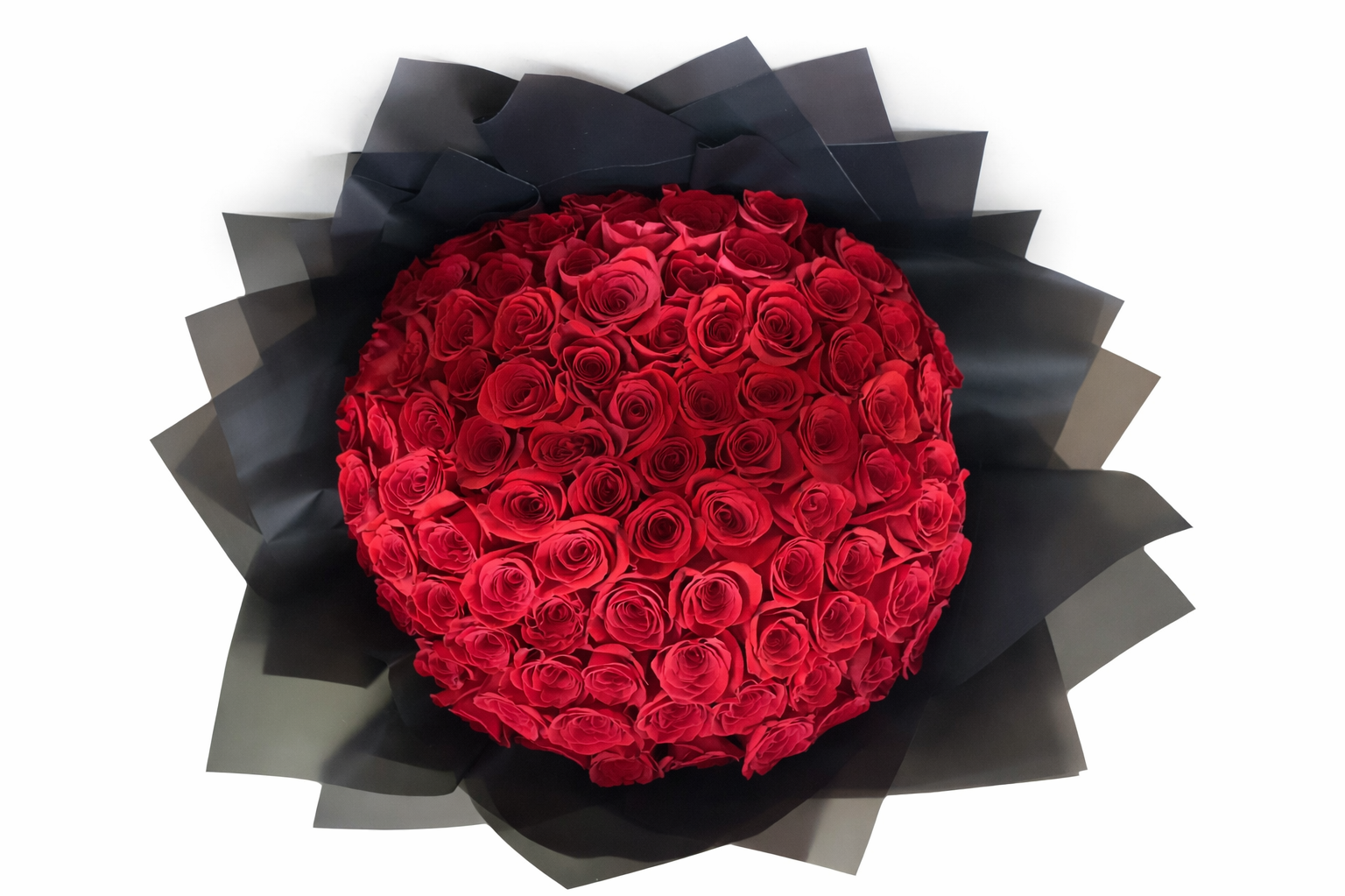 The Signature 100 — S T E M S F L O R A L