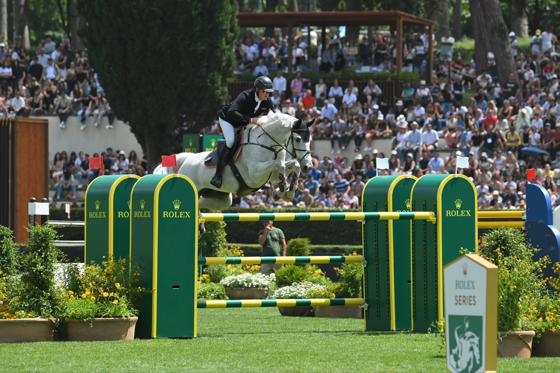 Petschenig Show Jumping