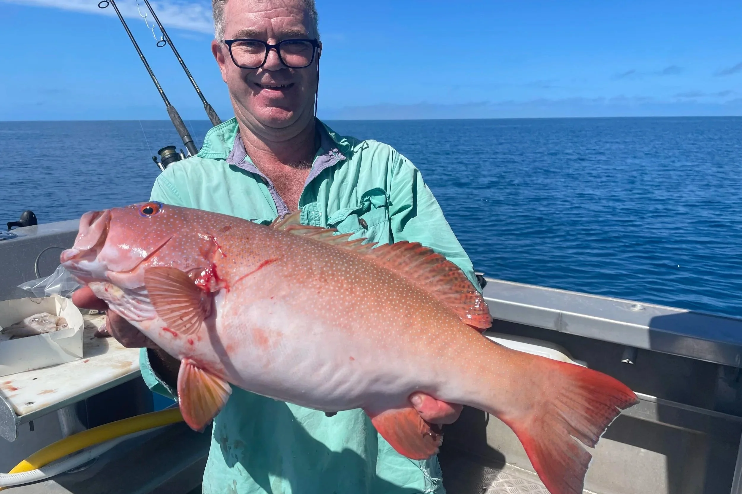 Full Day Outer Reef | Book Your Reef Fishing Adventure — Hooked Up ...