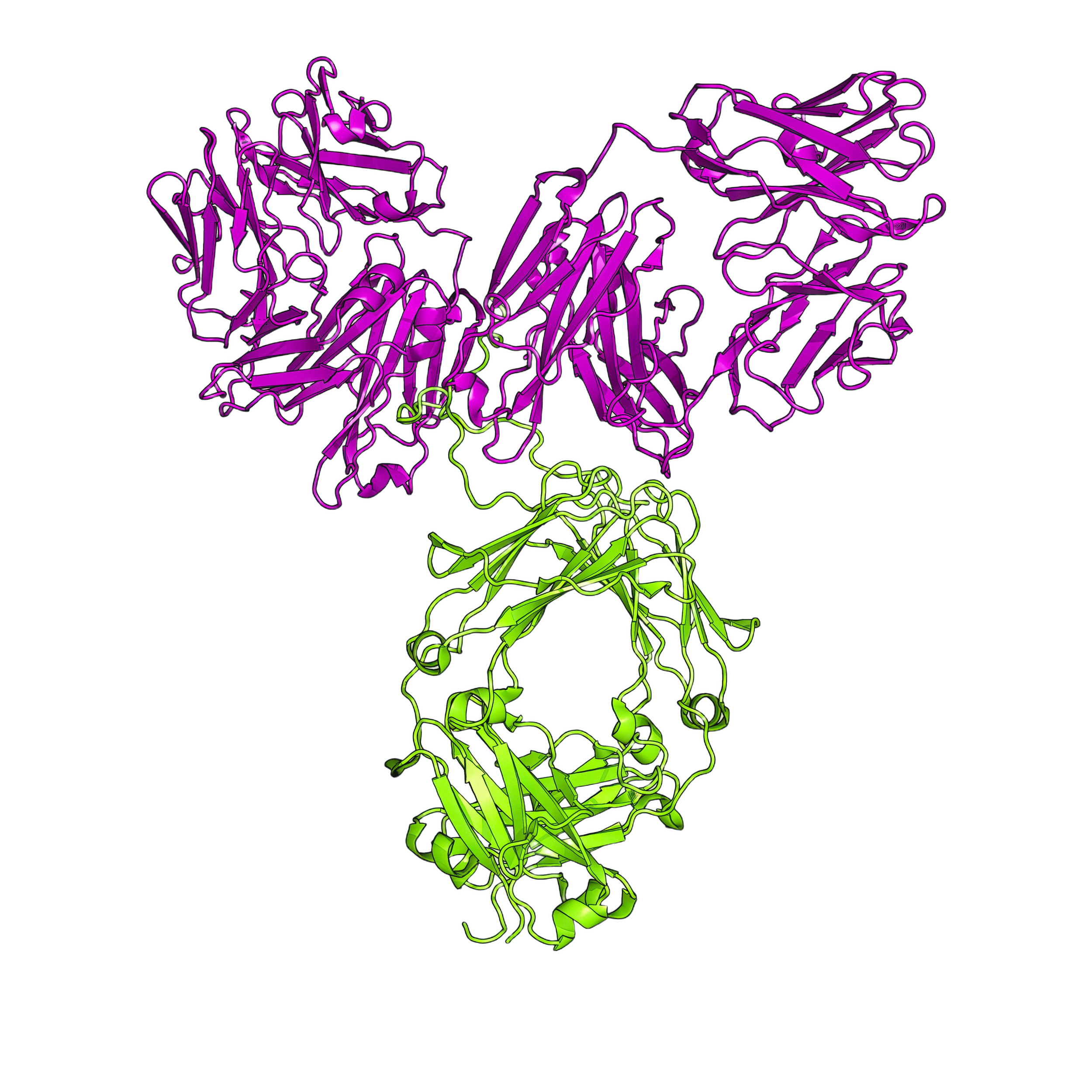 BioDynLab | Accelerate Drug Discovery Today