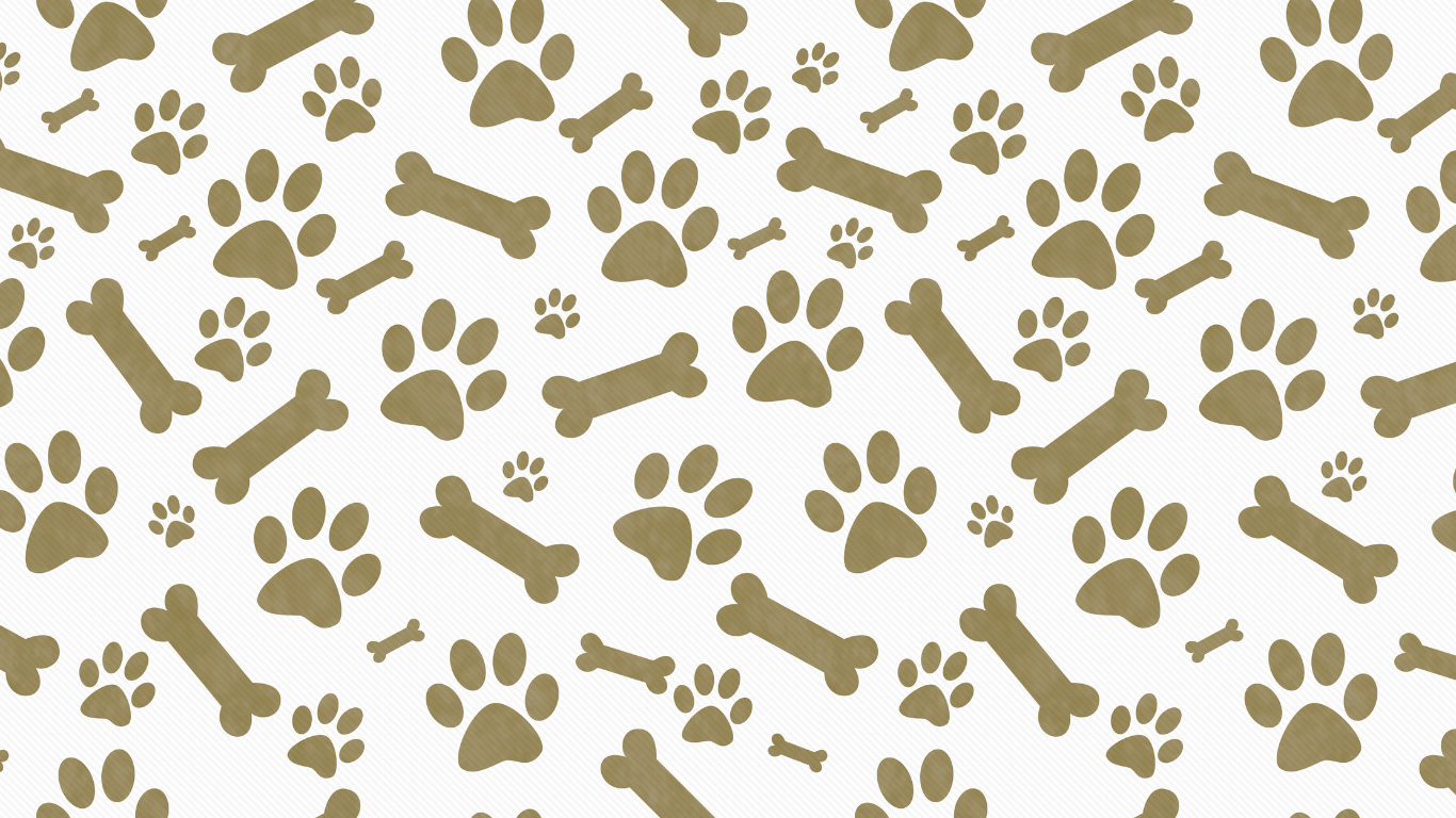 All 4 Paws of Pheasant Run | Find Your Perfect Puppy Today