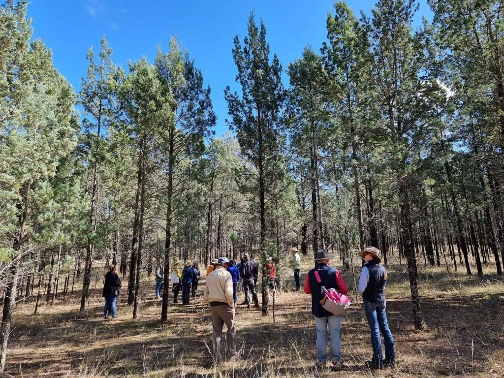 About — NSW Landcare & LLS Conference | Corowa '26